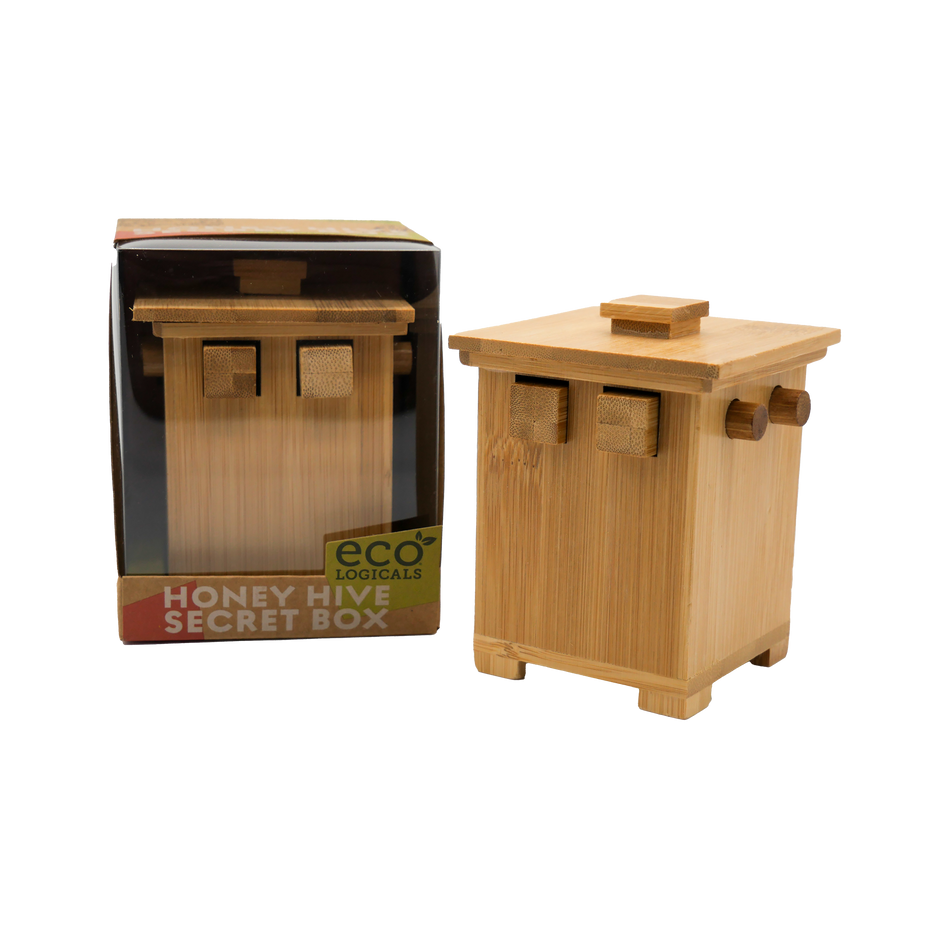 Secret Puzzle Boxes – Project Genius