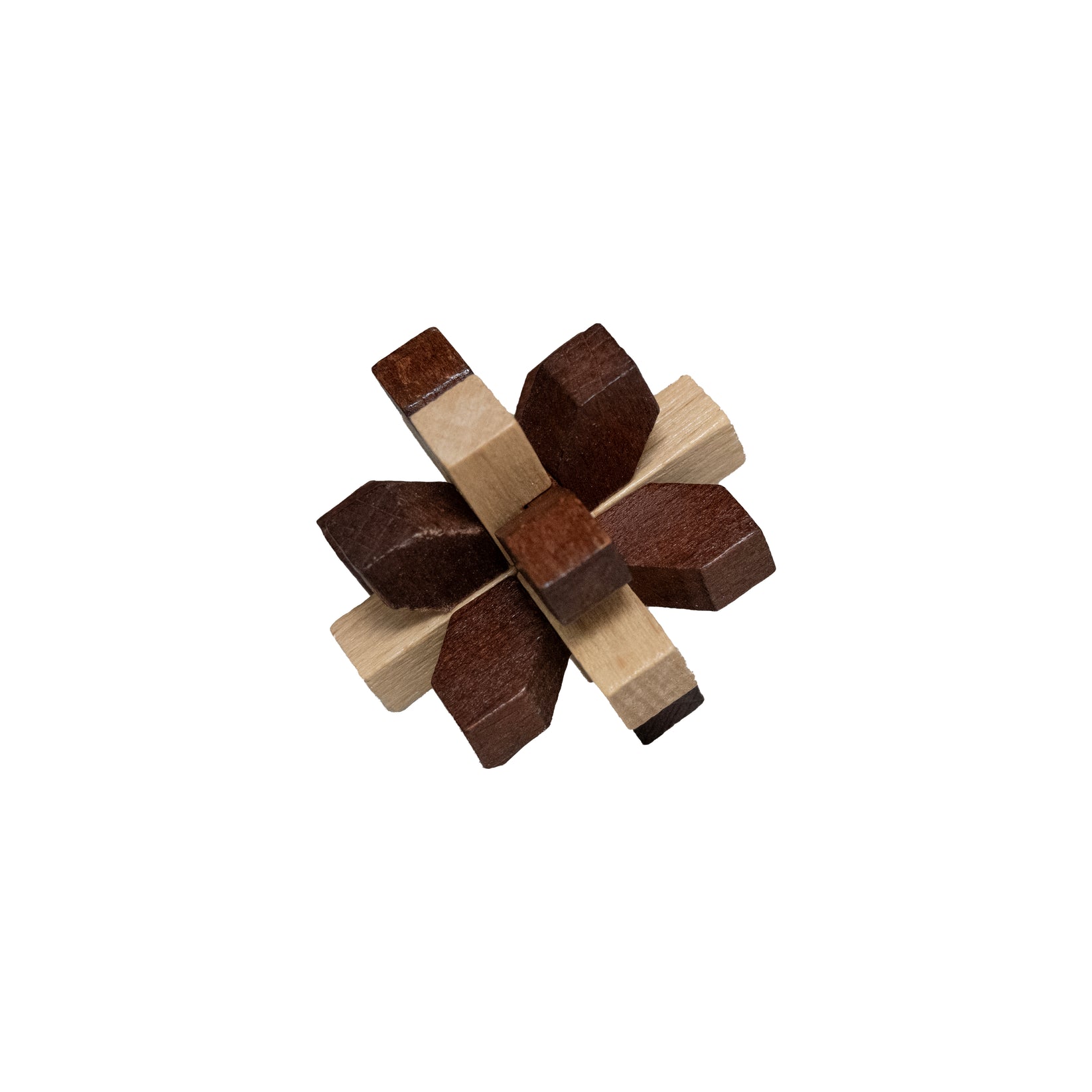 Project Genius: Curated Collection - 5 Brainteaser Puzzles, Wood ...